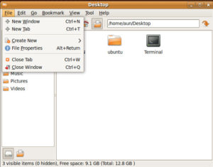 Install And Use PCMan File Manager In Ubuntu Linux