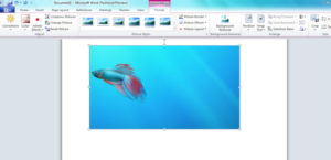 Screen Clipping - Capture Screenshot Using Microsoft Office 2010