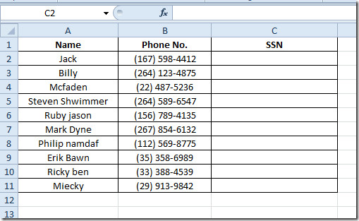 Excel 2010 Add Standard Phone Social Security Numbers SSNs 