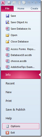 Make Database Application Form In Access 2010