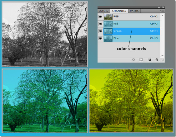 A Guide To Channels In Photoshop