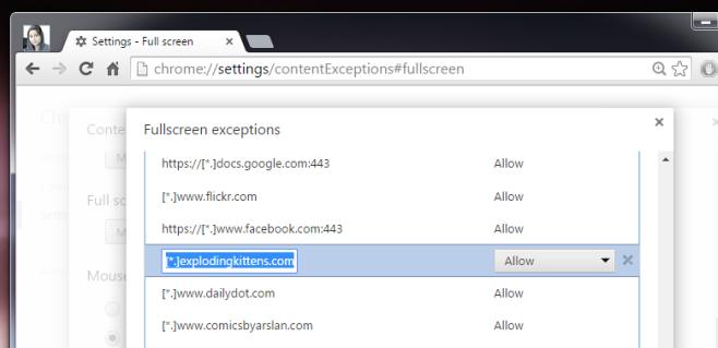 Skip Permissions Allow Video Players On Any Website To Go Full Screen Chrome 