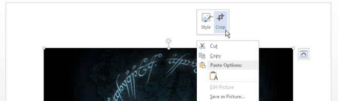 How To Properly Crop Pictures Inside An MS Word Document