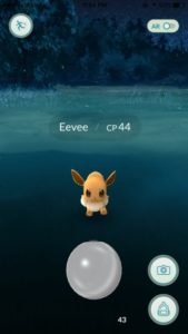 What To Do When Pokemon Go Gets Stuck At The 'Caught!' Screen