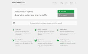 Alternative Encryption Methods for a Safer Internet