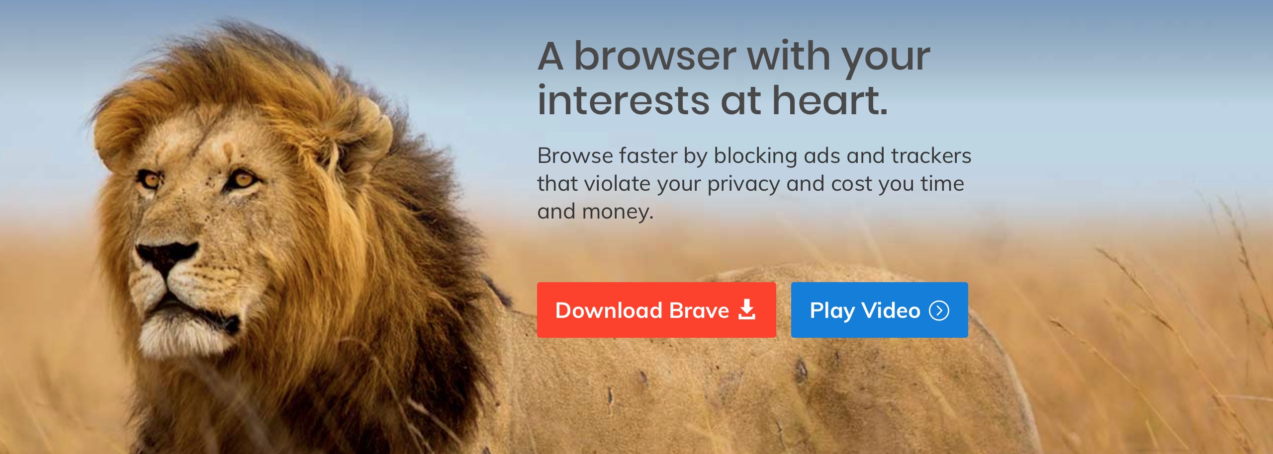 Most Secure Web Browser: What's the Best for PC or Mobile?