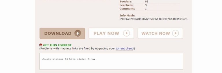 How to Download Files From a Torrent: Torrent Downloading Explained