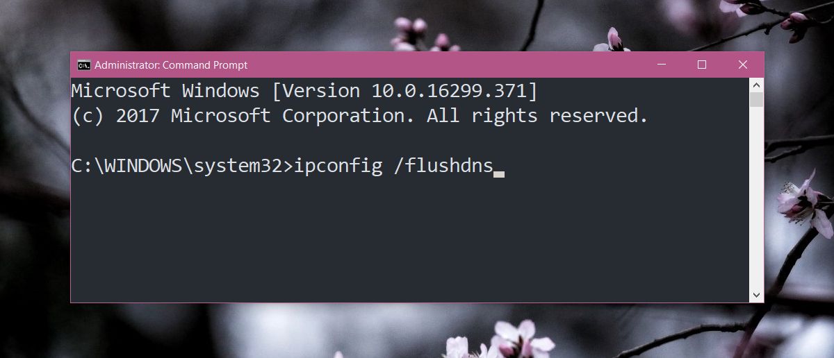 What Is DNS Cache and How to Update It