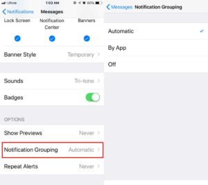 How To Enable or Disable Group Notifications By App On iOS 12