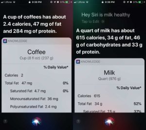 How To Use Siri To View Nutrition Information On iOS 12