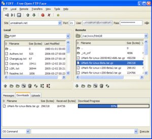 Best FTP & SFTP Client for Windows and Linux (Review) in 2021