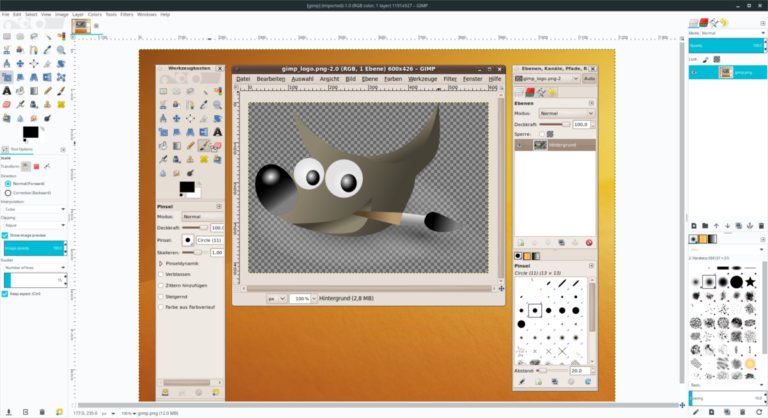 How to install the Gimp image editor on Linux