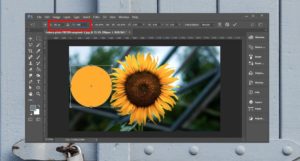 How To Move Objects In Photoshop To A Specific Position