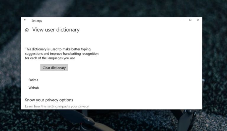 How to edit autocorrect and the dictionary on Windows 10