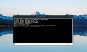 How to save Twitch streams for later on Linux