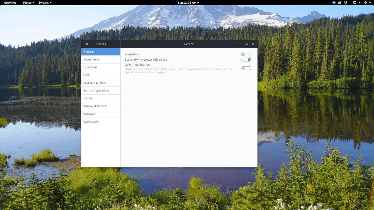 How to speed up the Gnome Shell Desktop