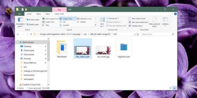 How to set the thumbnail image for a video on Windows 10