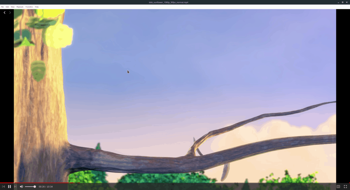 How to install Webtorrent on Linux