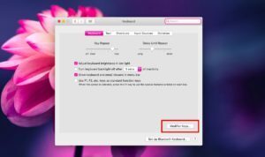 How to disable modifier keys on macOS
