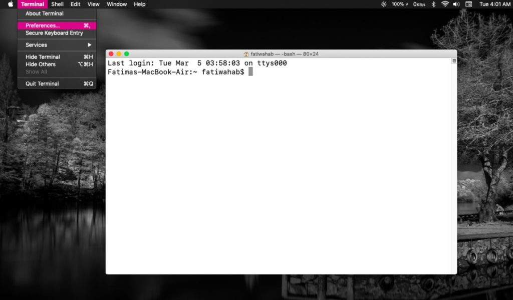 How to change the terminal theme on macOS