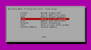 How to use recovery mode on Ubuntu