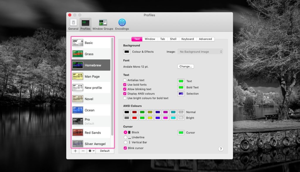 How to change the terminal theme on macOS
