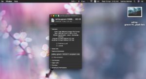 How to show file extensions on macOS