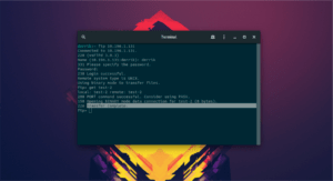 How to use FTP from the command-line on Linux