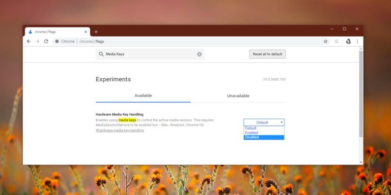 How to disable media key control in Chrome