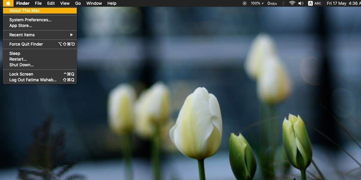 How to find the Mac serial number via macOS
