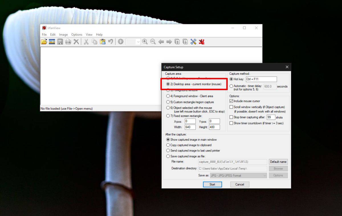 How To Capture The Mouse Cursor In A Screenshot On Windows 10 