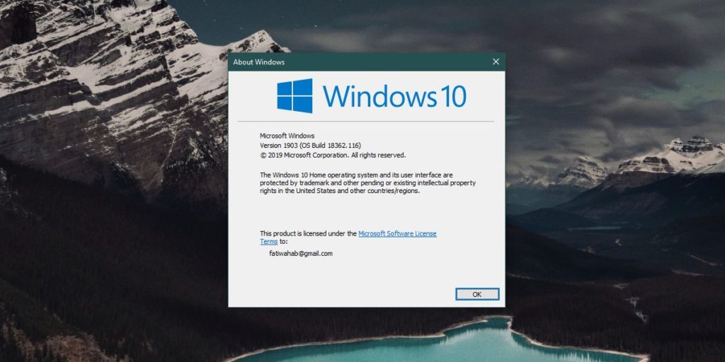 How to update to Windows 10 1903 now