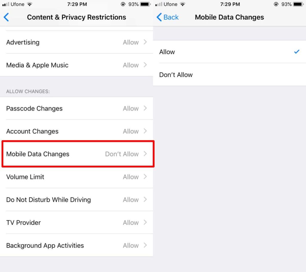 How to fix iPhone settings switch greyed out