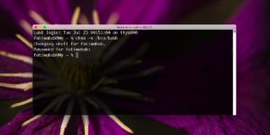 How to switch back to bash in Terminal on macOS Catalina