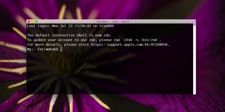 How to switch back to bash in Terminal on macOS Catalina