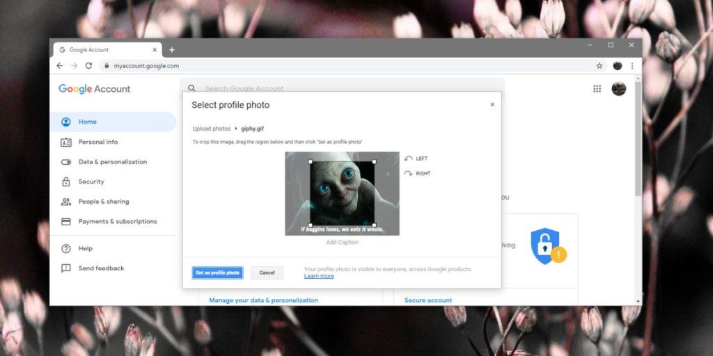 How to use a GIF for your Google profile picture