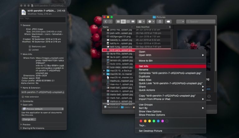 How to find the download link of a file on macOS