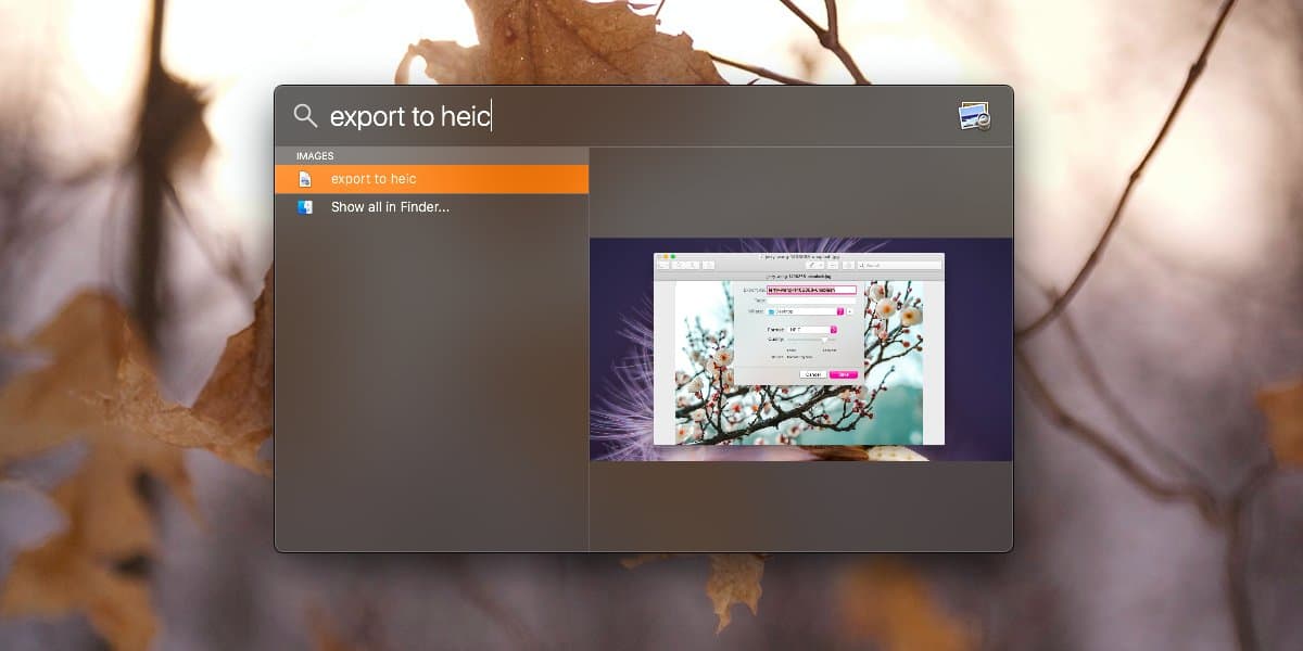 How to open an item in Finder from Spotlight on macOS