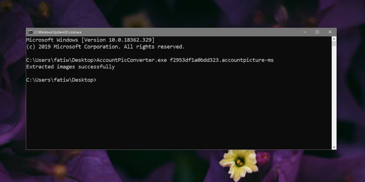 How to extract an accountpicture-ms image to BMP on Windows 10