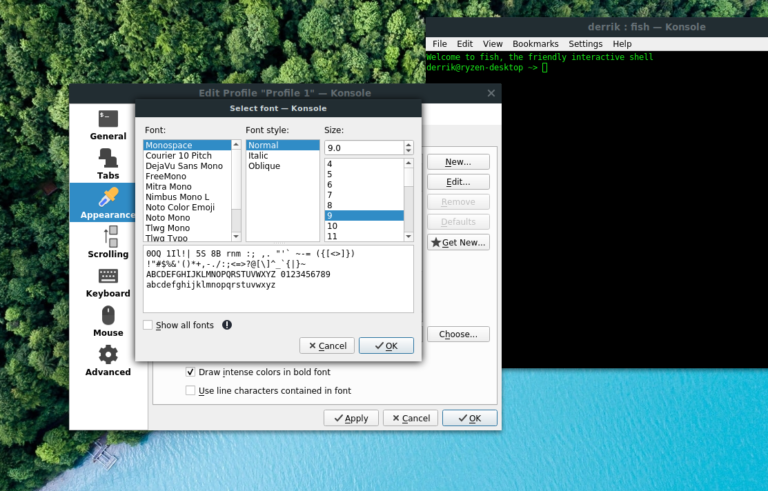 How to customize the KDE terminal