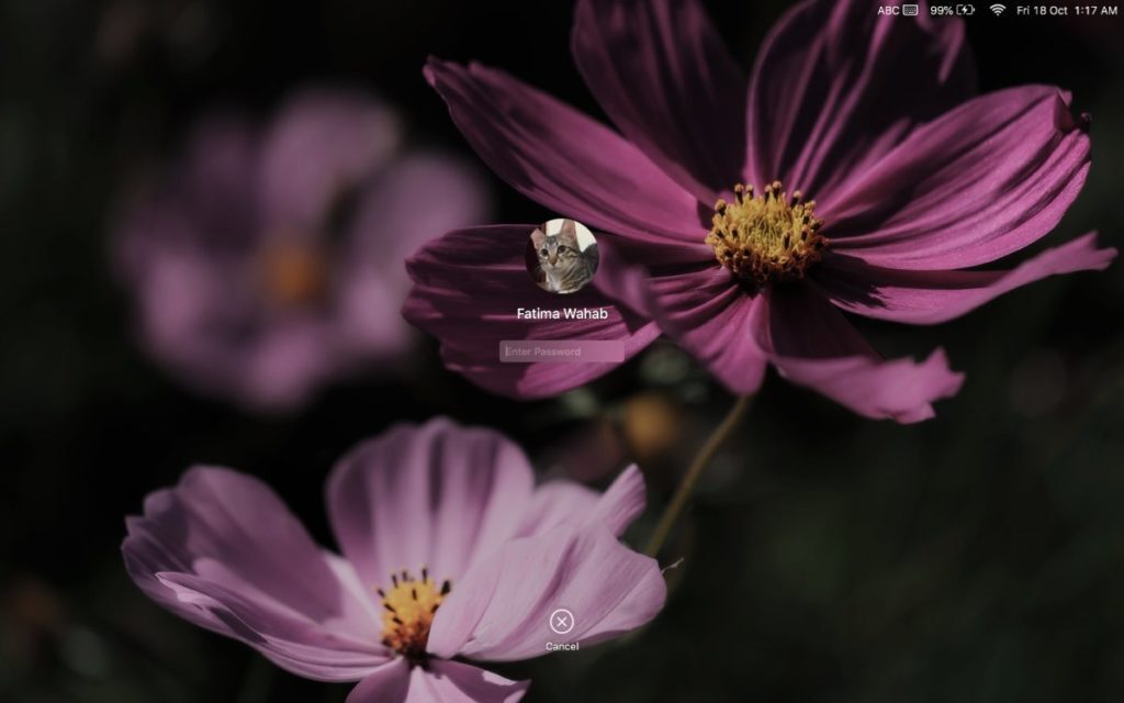 How to disable lock screen sleep on macOS