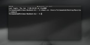 How to run Terminal commands from a script on macOS