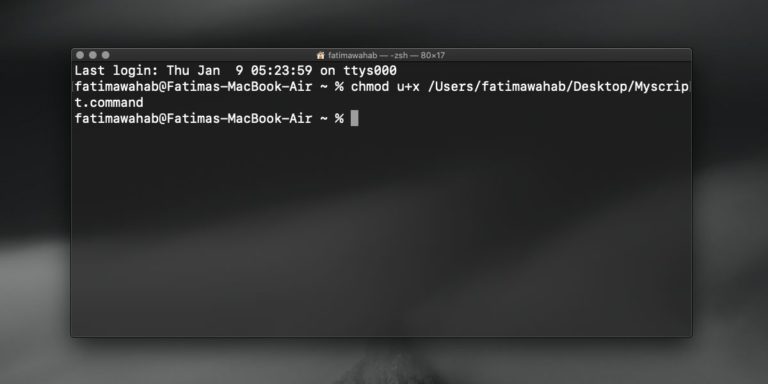 How To Run Terminal Commands From A Script On Macos