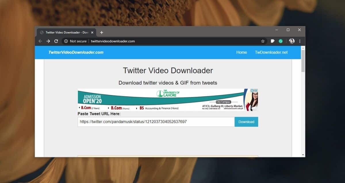 How to download a video from Twitter