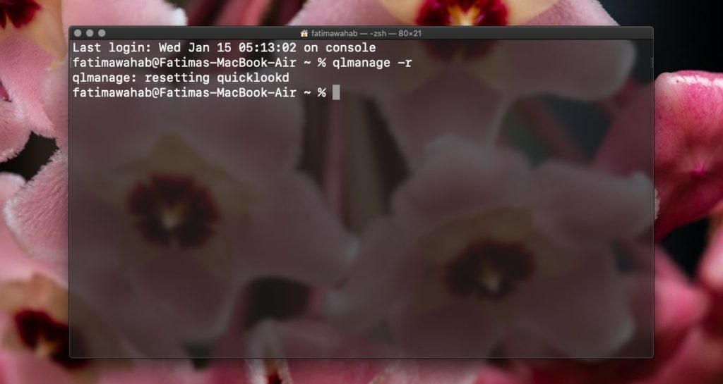 How to install a plugin in QuickLook on macOS
