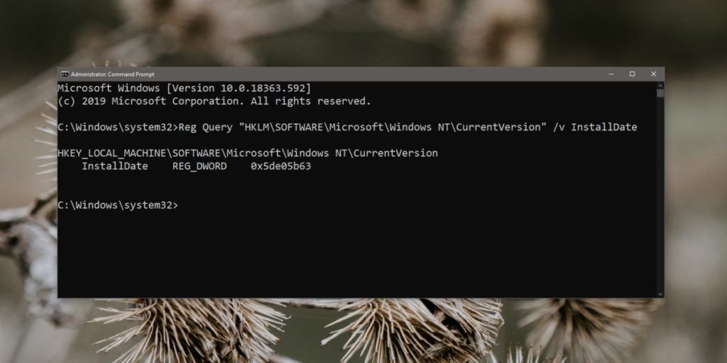 How to look up registry values from Command Prompt on Windows 10