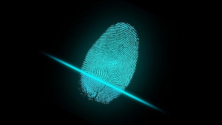 What Shows Up on Fingerprint Background Check?