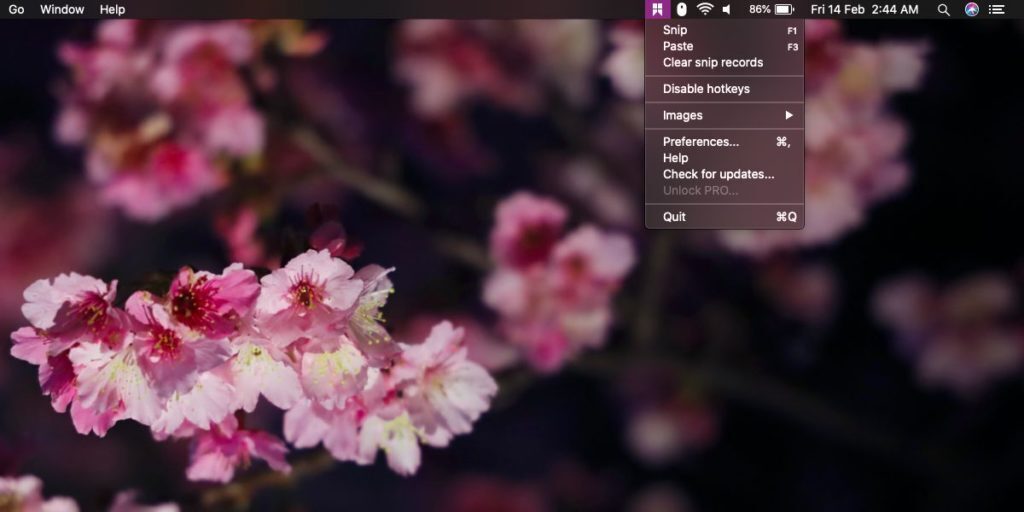 How to screenshot individual UI elements on macOS