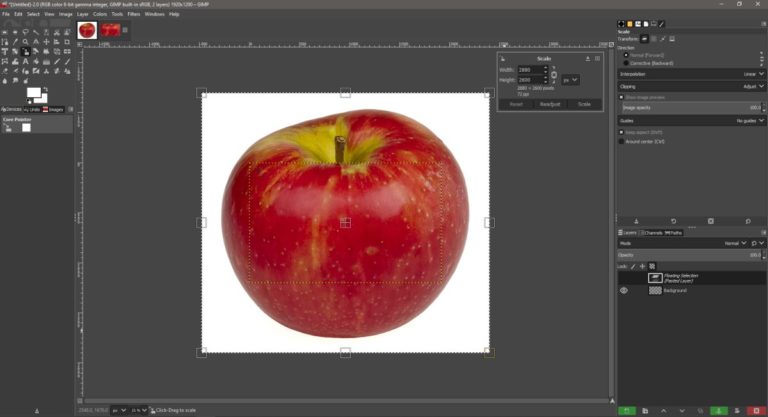 How To Paste An Image To A Layer In GIMP On Windows 10 how-to-paste-an-image-to-a-layer-in-gimp-on-windows-10