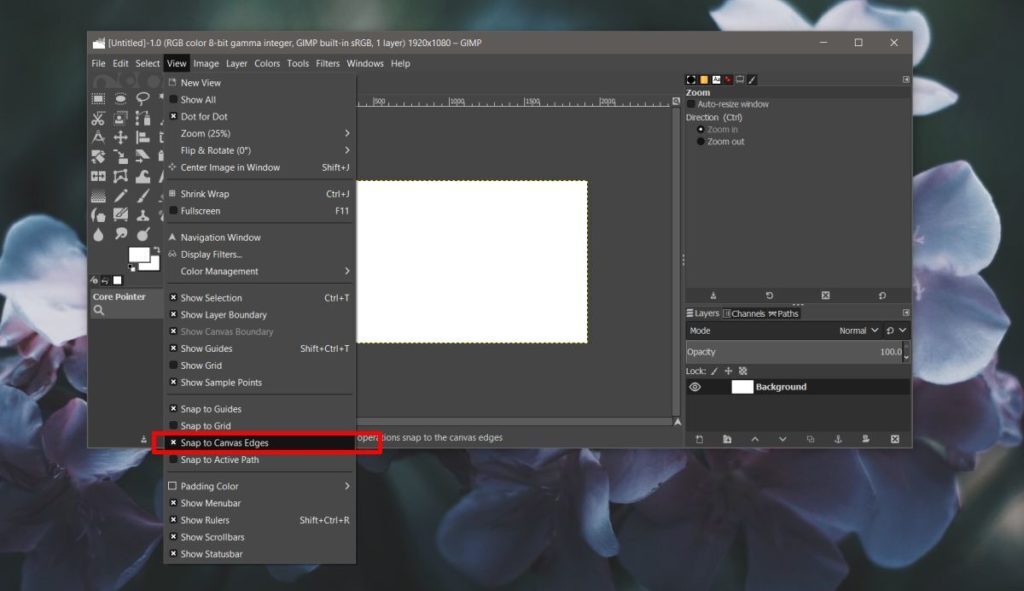 How to change default settings in GIMP on Windows 10